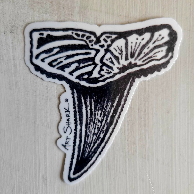 Tooth Decal - Etsy