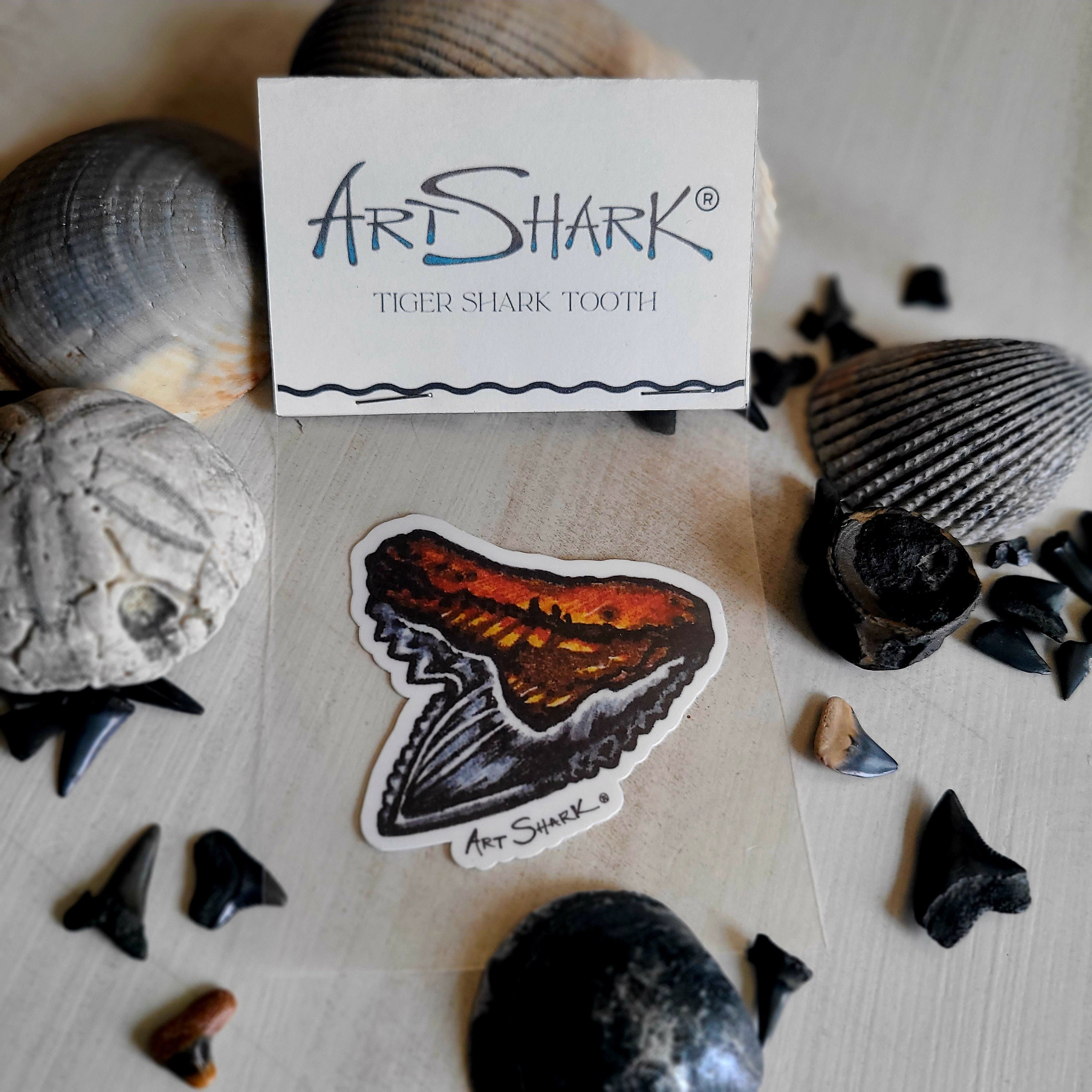 Tiger Shark Tooth Decal, Shark Tooth Sticker, Decal, Fossil Shark Teeth ...