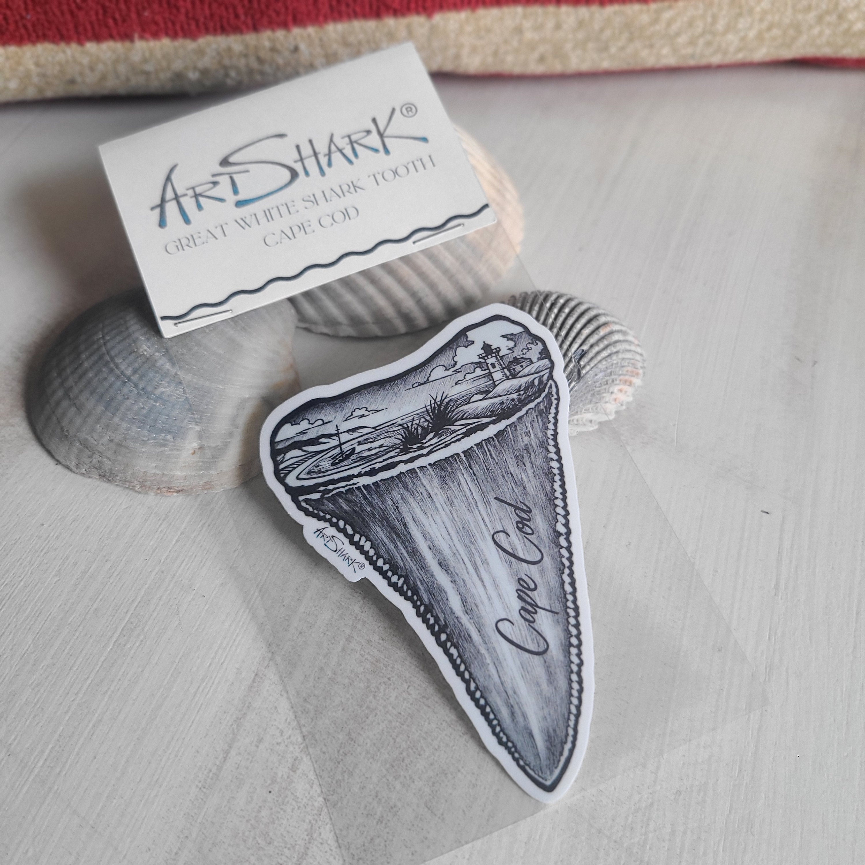Cape Cod Shark Tooth Sticker/decal Great White - Etsy