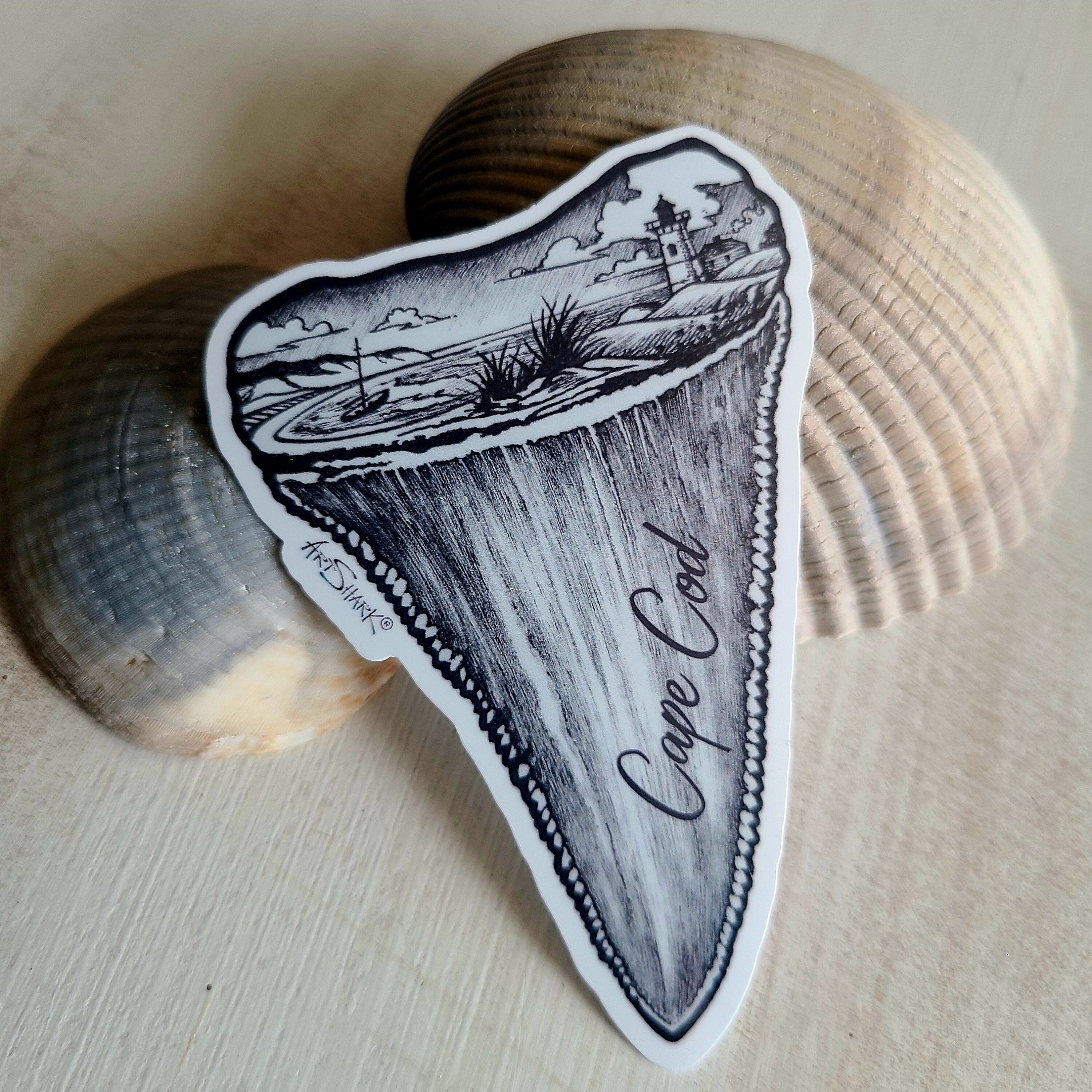 Cape Cod Shark Tooth Sticker/decal Great White - Etsy