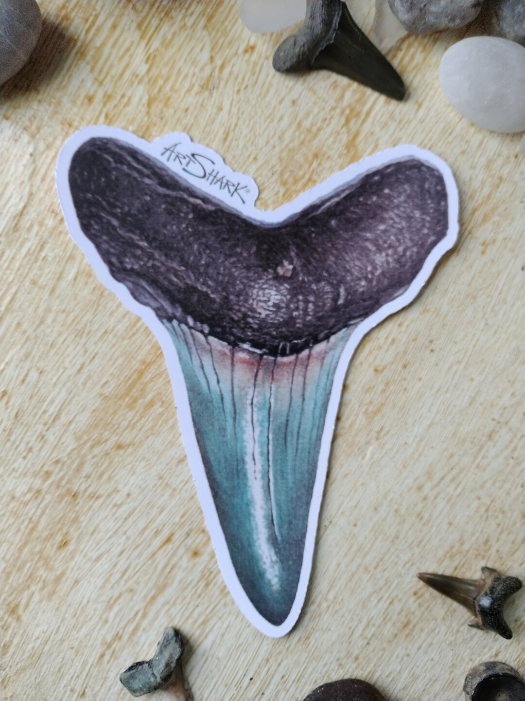 Mako Shark Tooth Sticker/decal - - Etsy