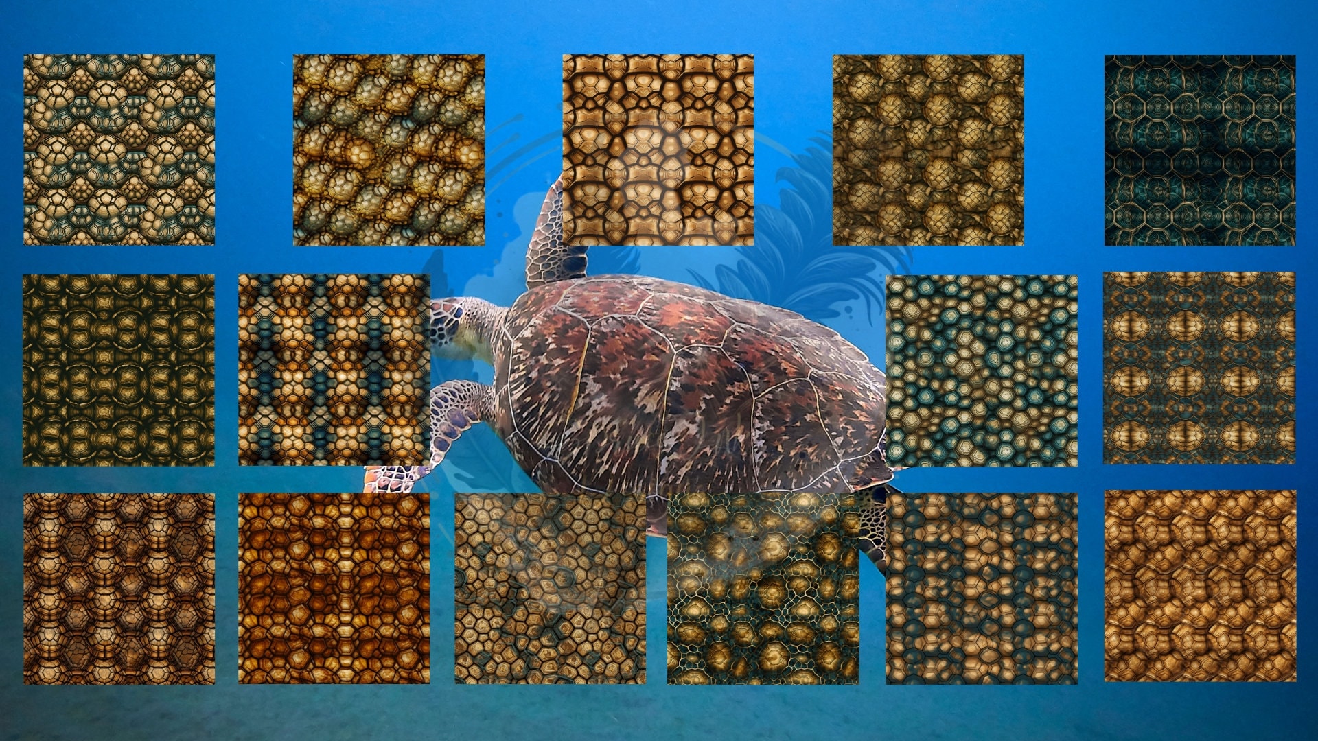 Turtle Shell Animal Print Digital Paper Pack of 15 Textures, Seamless ...