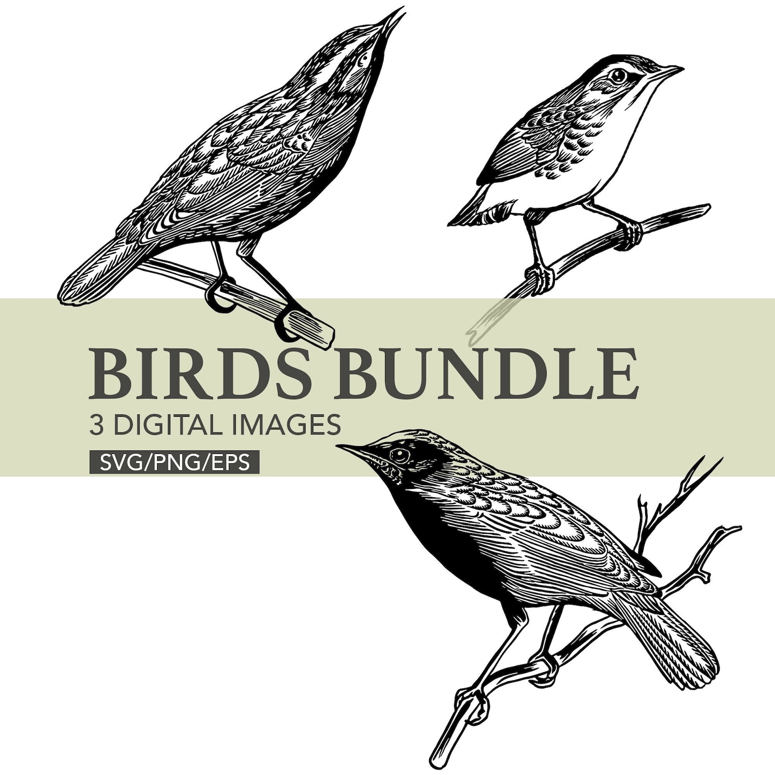 Birds Svg, Instant Download Files, Svg, Png, Eps, Fully Editable ...