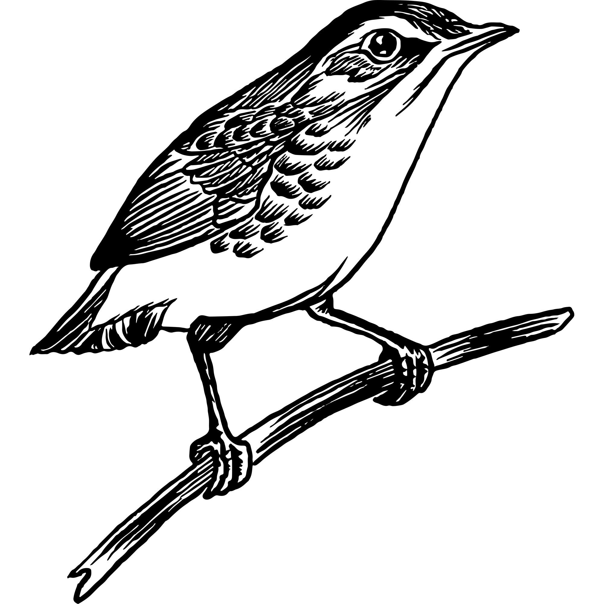 Birds Svg, Instant Download Files, Svg, Png, Eps, Fully Editable ...