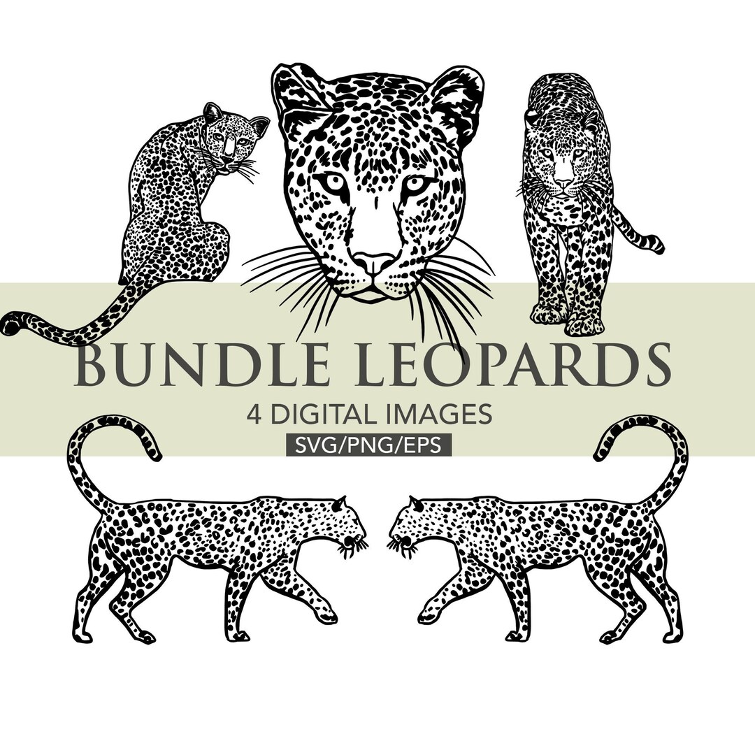 Leopard SVG Files, Bundle of 4 Leopard Images for Free Personal and ...