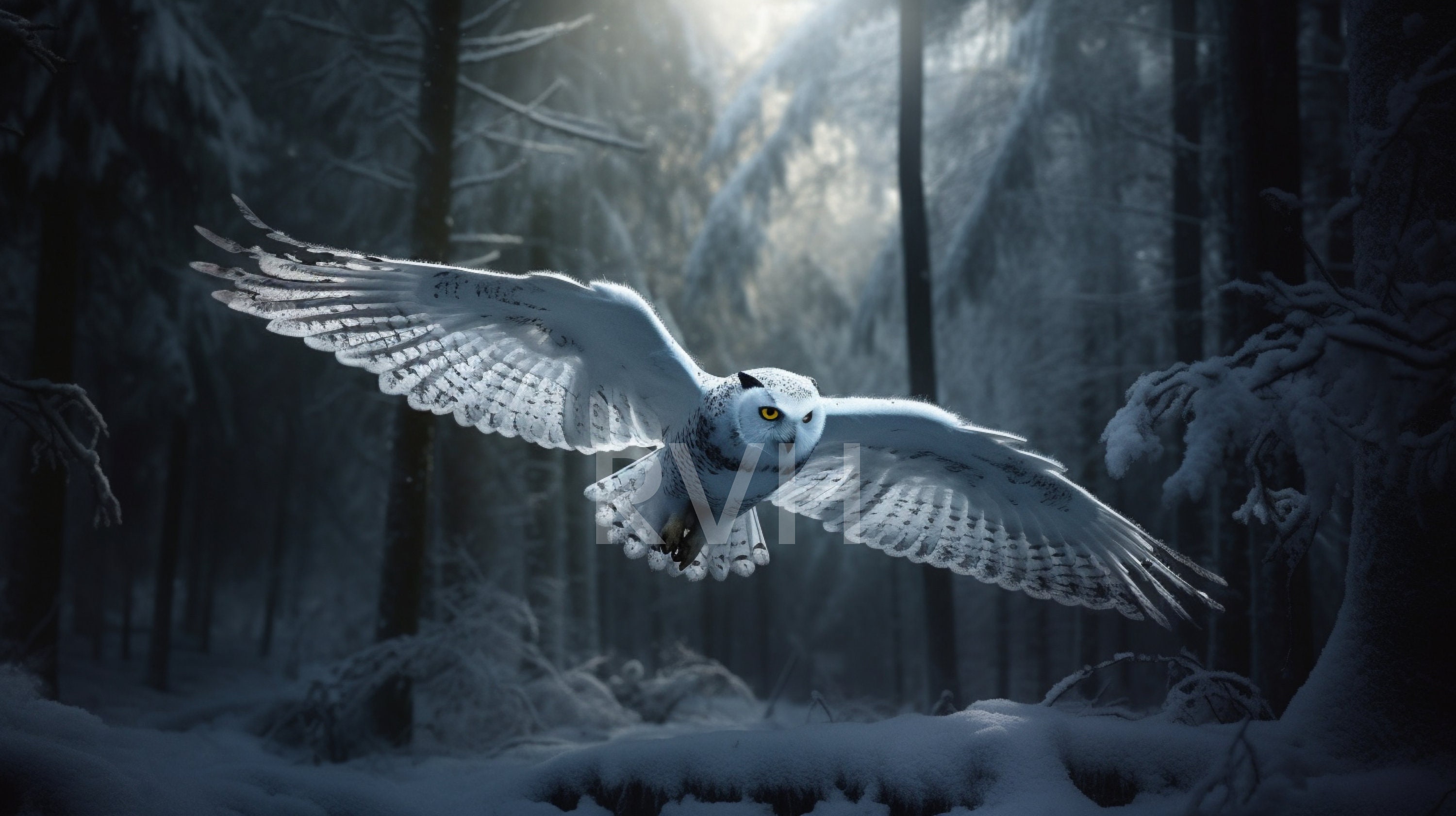 A Snowy Owl in a Set of 3 Digital Downloads. A Beautiful Nocturnal Bird ...