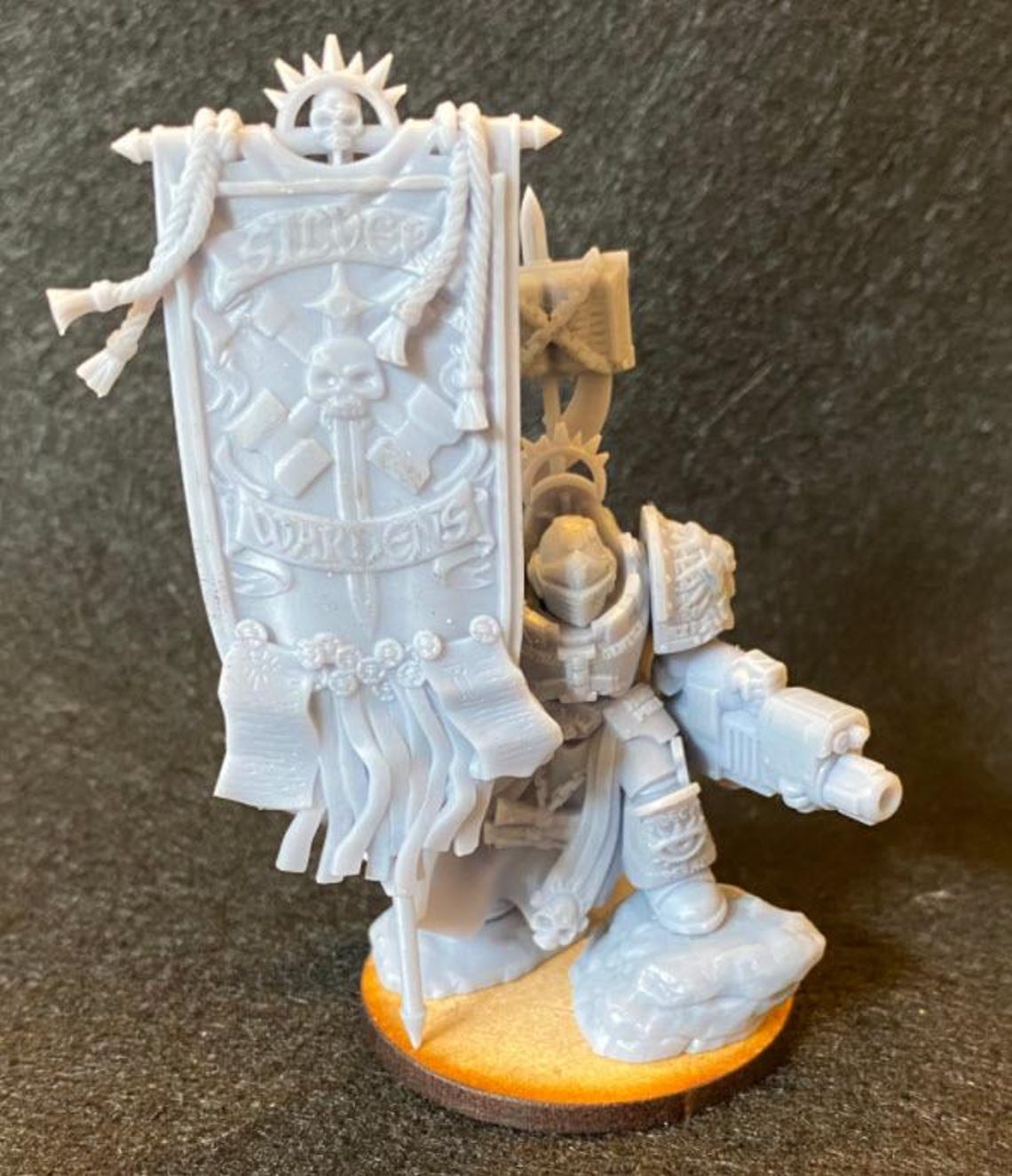 Silver Wardens Ancient Banner Bearer DMG Minis - Etsy