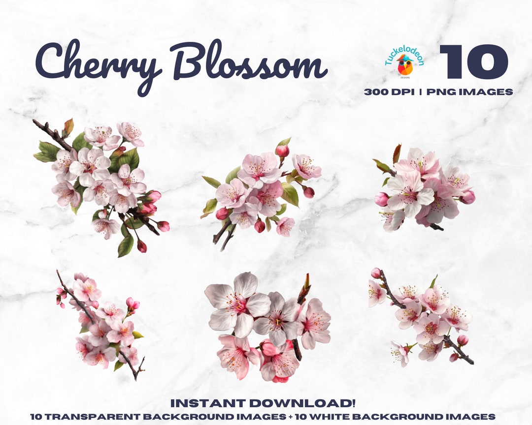 Cherry Blossoms Clipart - PNG Clip Art Bundle - Spring Flowers ...