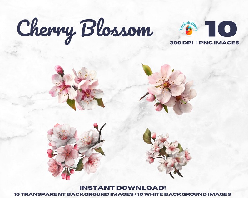 Cherry Blossom PNG Clipart – Sakura Watercolor Flowers, Spring Floral ...