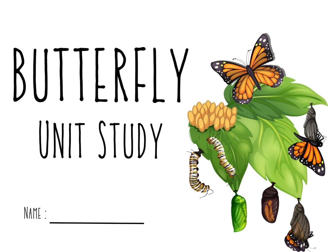 Butterfly Unit Study Butterfly Activity Book Science Activity All About ...