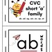 CVC Word Family Booklet Word Family List Booklet Cvc Activity Book ...