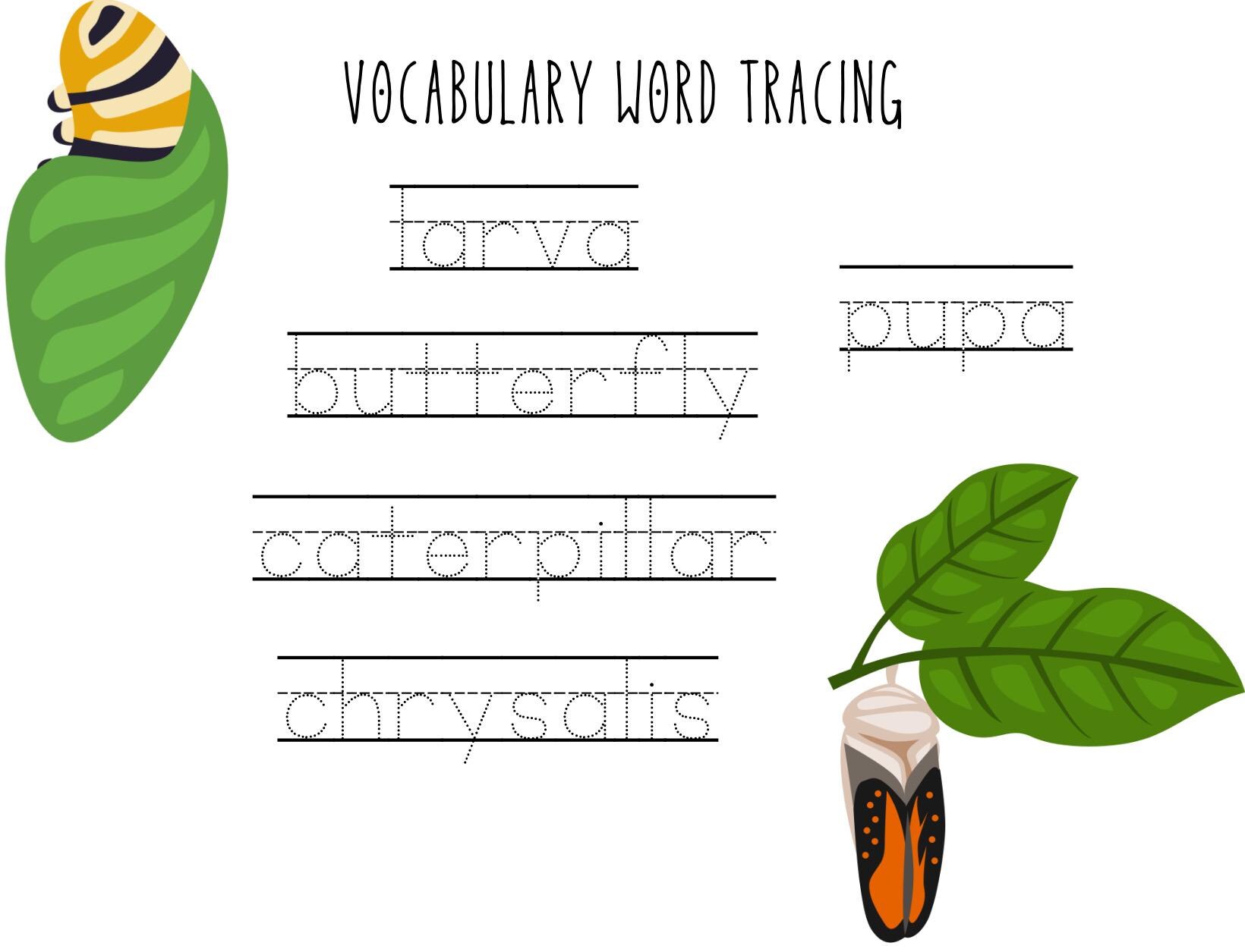 Butterfly Unit Study Butterfly Activity Book Science Activity All About ...