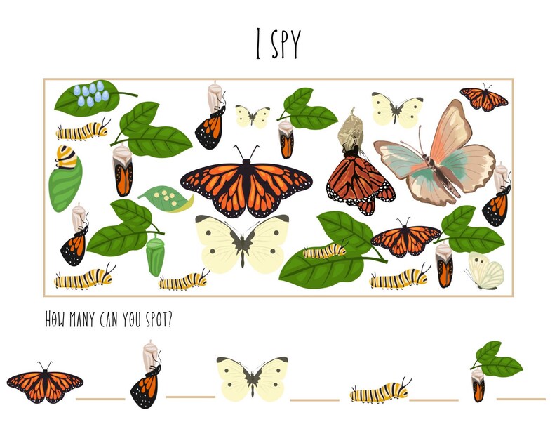 Butterfly Unit Study Butterfly Activity Book Science Activity All About ...