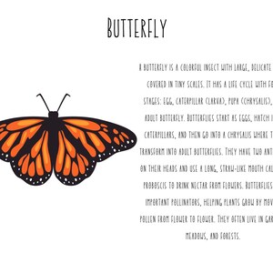 Butterfly Unit Study Butterfly Activity Book Science Activity All About ...