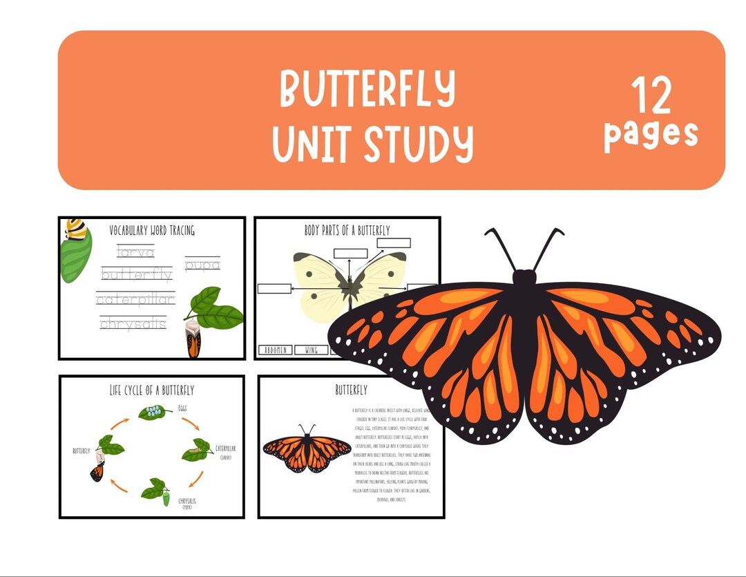 Butterfly Unit Study Butterfly Activity Book Science Activity All About ...