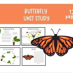 Butterfly Unit Study Butterfly Activity Book Science Activity All About ...