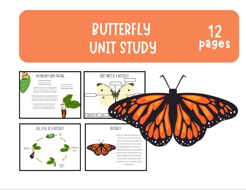 Butterfly Unit Study Butterfly Activity Book Science Activity All About ...