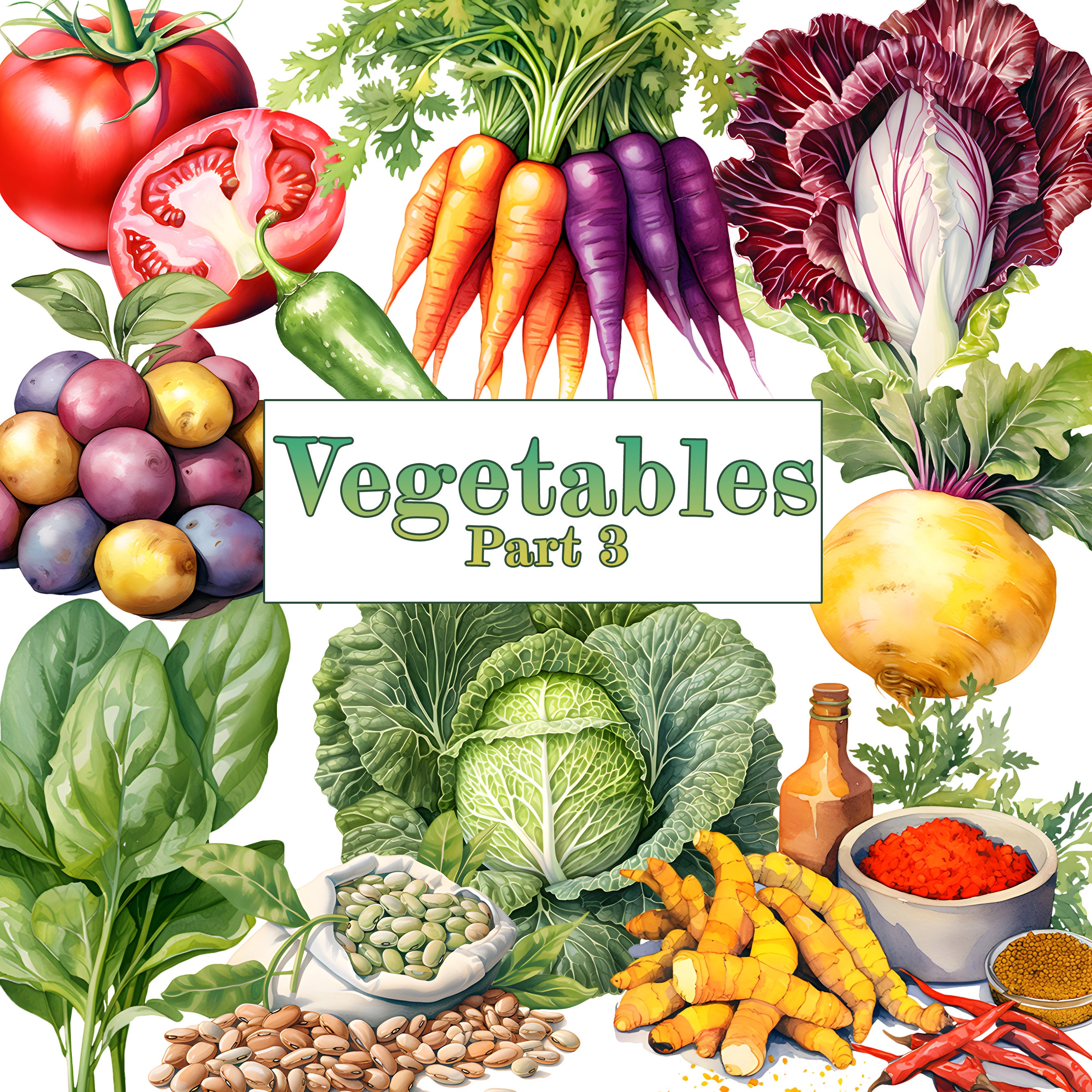 28 Vegetables Part 3 Clipart Watercolor Veggies Food Art - Etsy