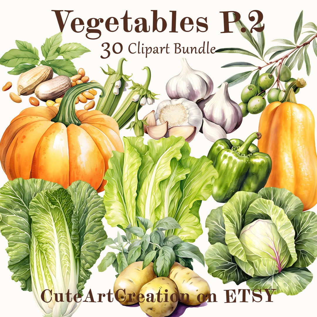 30 Vegetables Part 2 Clipart, Watercolor Veggies, Food Art, Digital Art ...