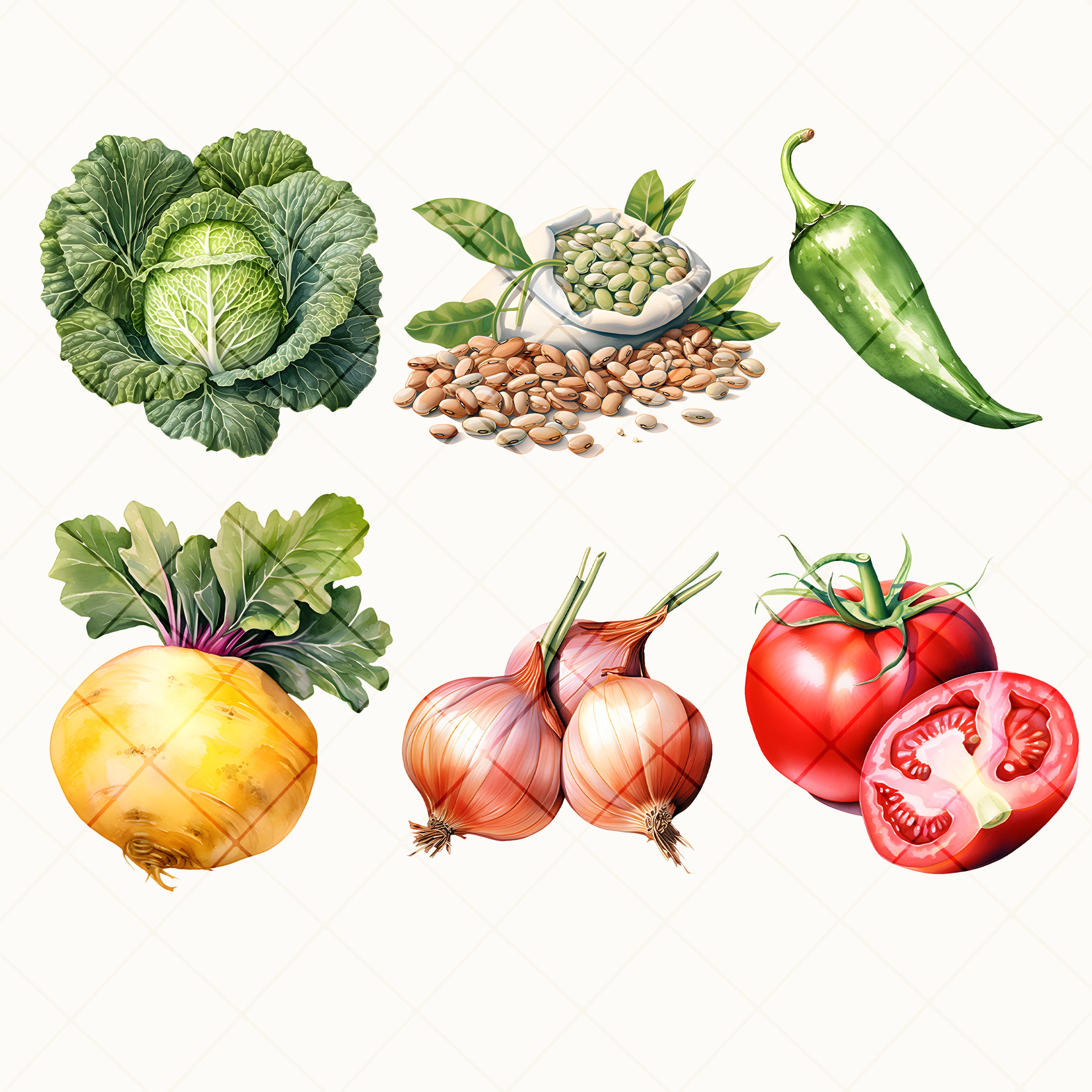 28 Vegetables Part 3 Clipart Watercolor Veggies Food Art - Etsy
