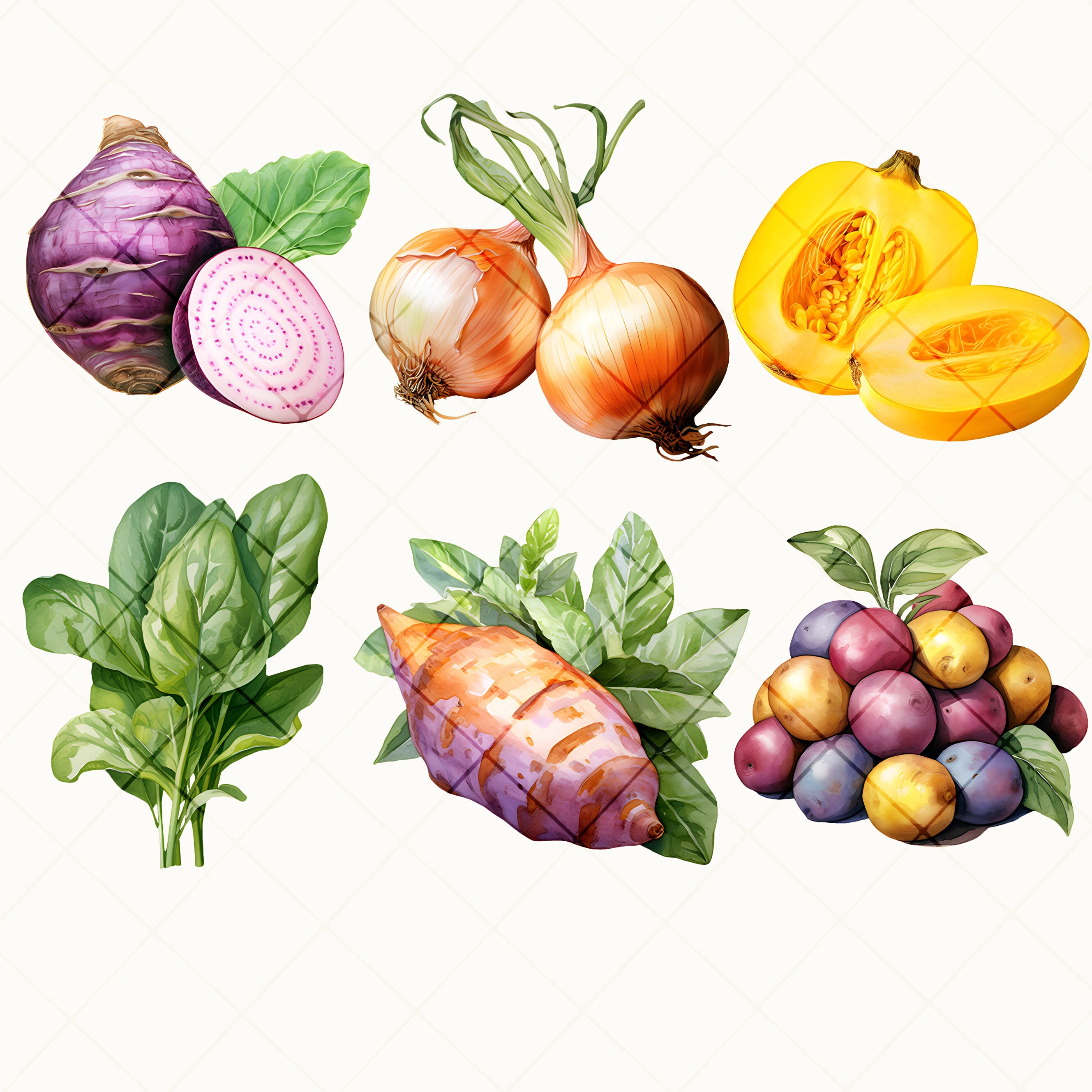 28 Vegetables Part 3 Clipart Watercolor Veggies Food Art - Etsy