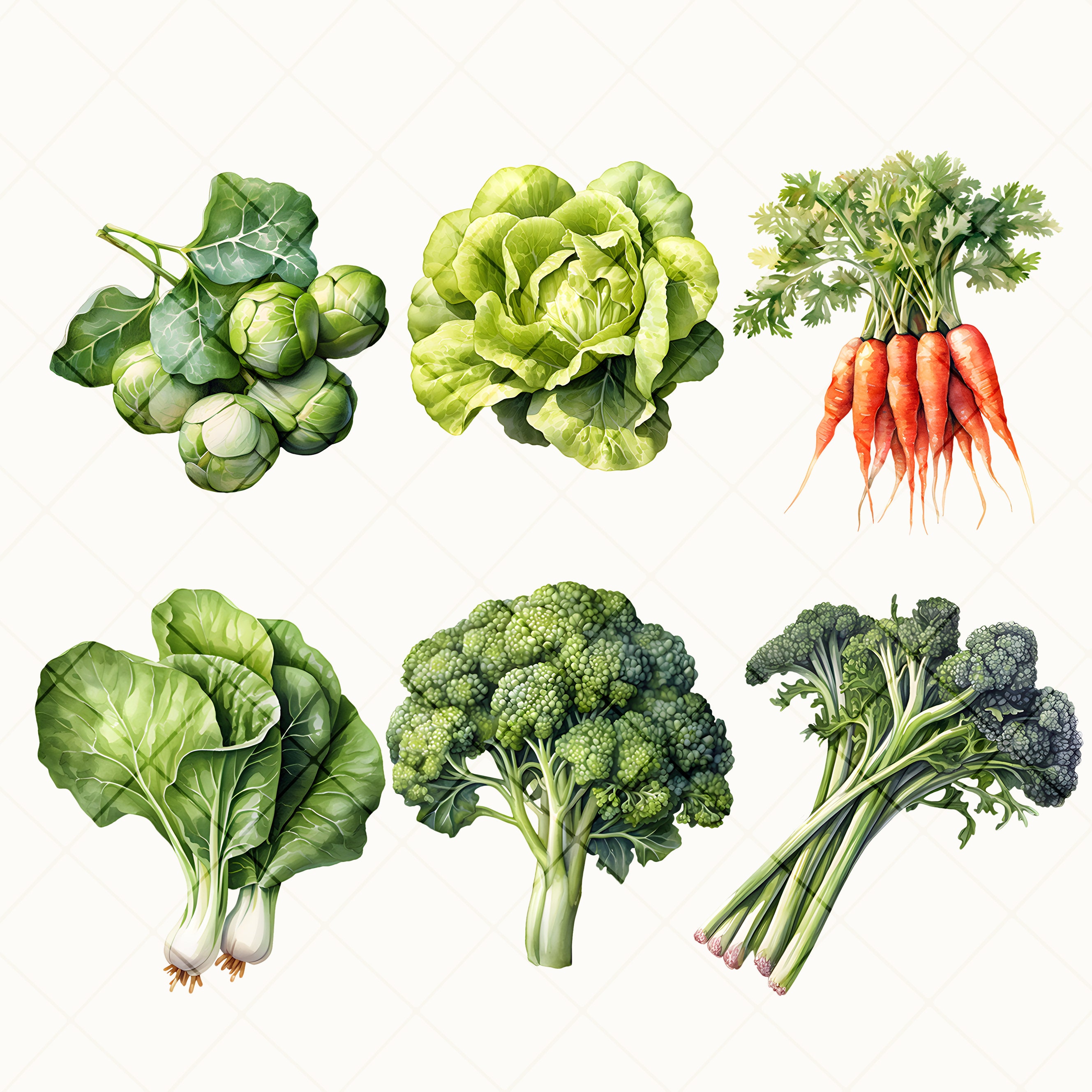 30 Vegetables Part 1 Clipart Watercolor Veggies Food Art - Etsy