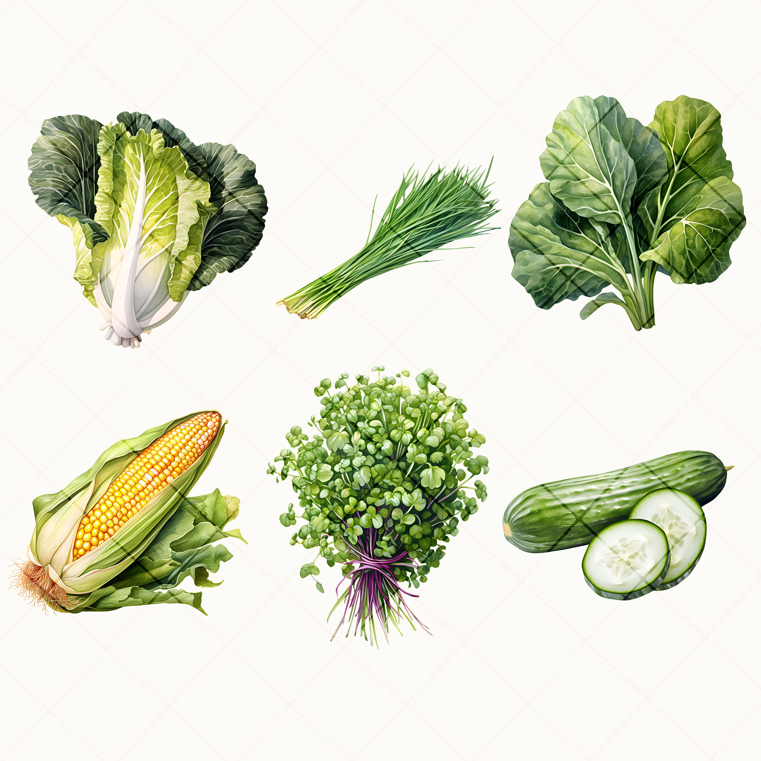 30 Vegetables Part 1 Clipart Watercolor Veggies Food Art - Etsy