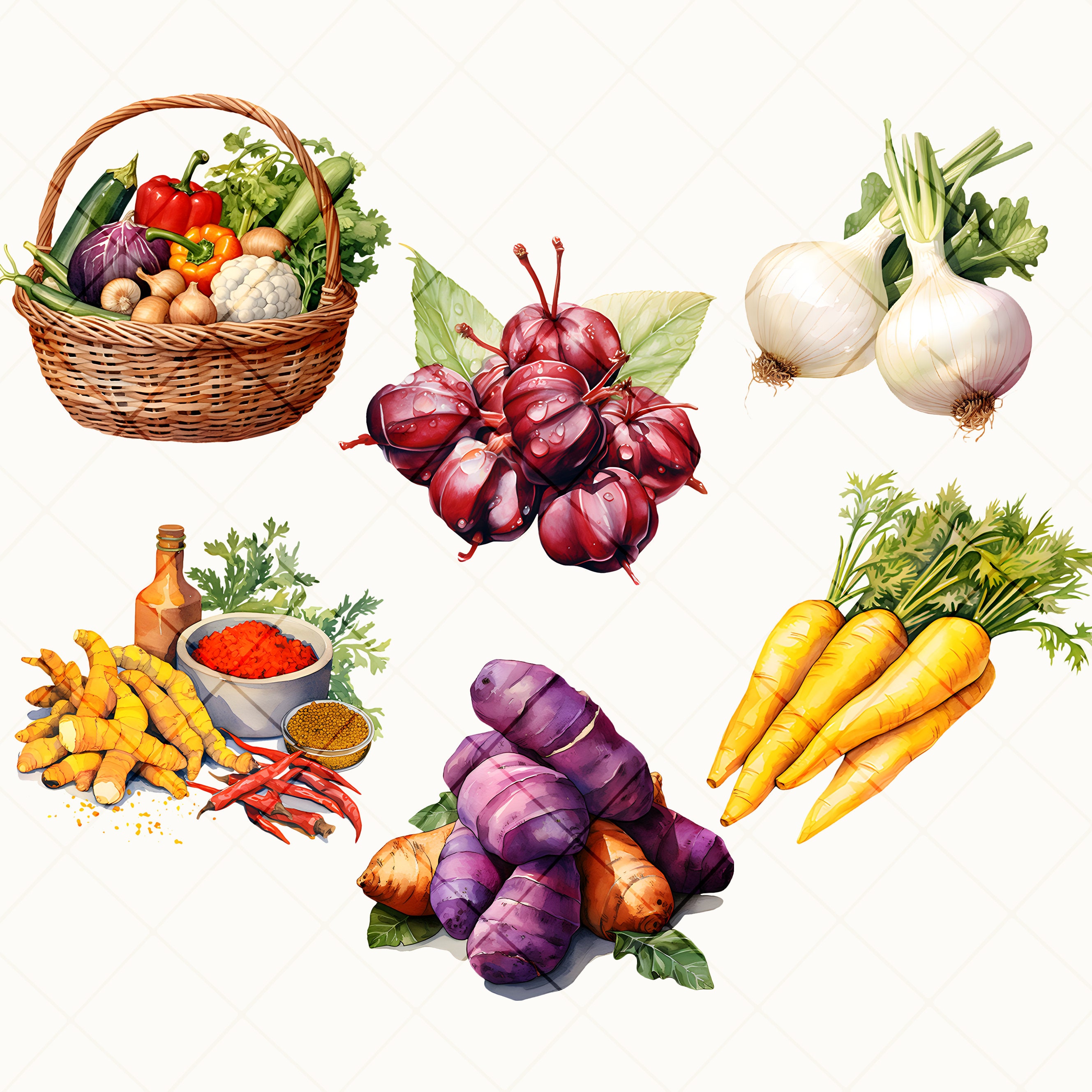 28 Vegetables Part 3 Clipart Watercolor Veggies Food Art - Etsy