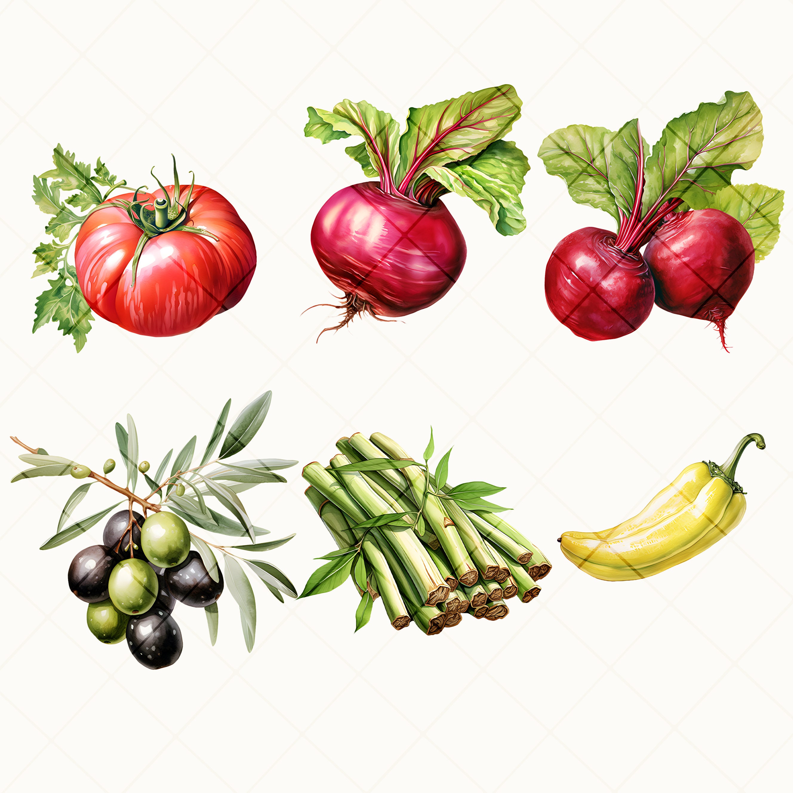 30 Vegetables Part 1 Clipart Watercolor Veggies Food Art - Etsy