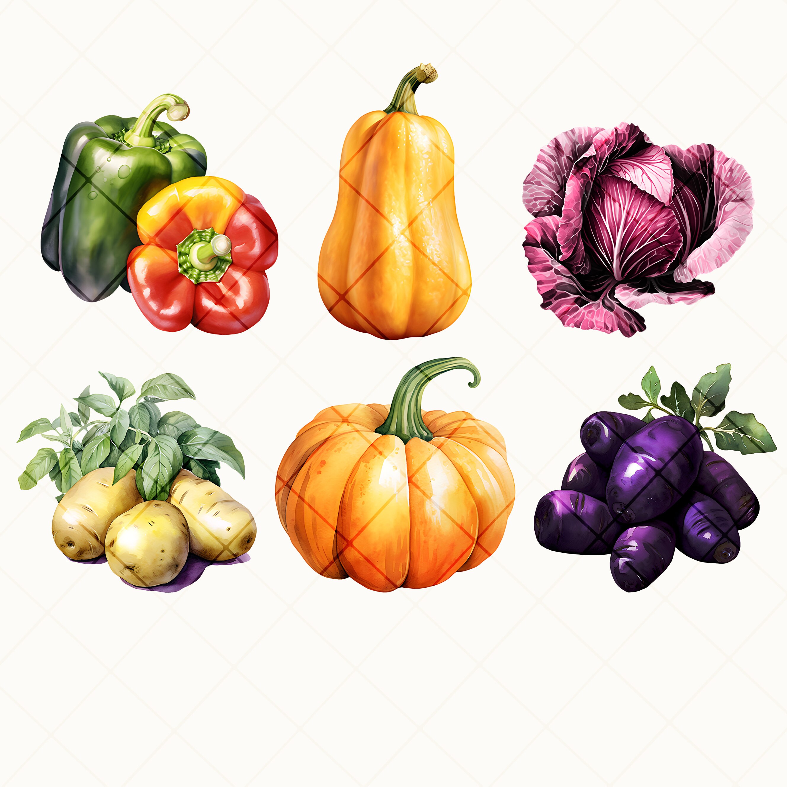 30 Vegetables Part 2 Clipart, Watercolor Veggies, Food Art, Digital Art ...