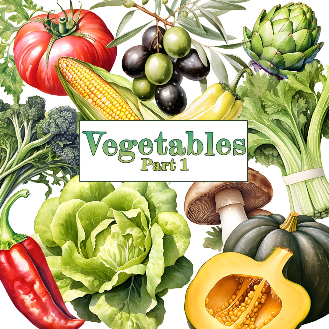 30 Vegetables Part 1 Clipart Watercolor Veggies Food Art - Etsy