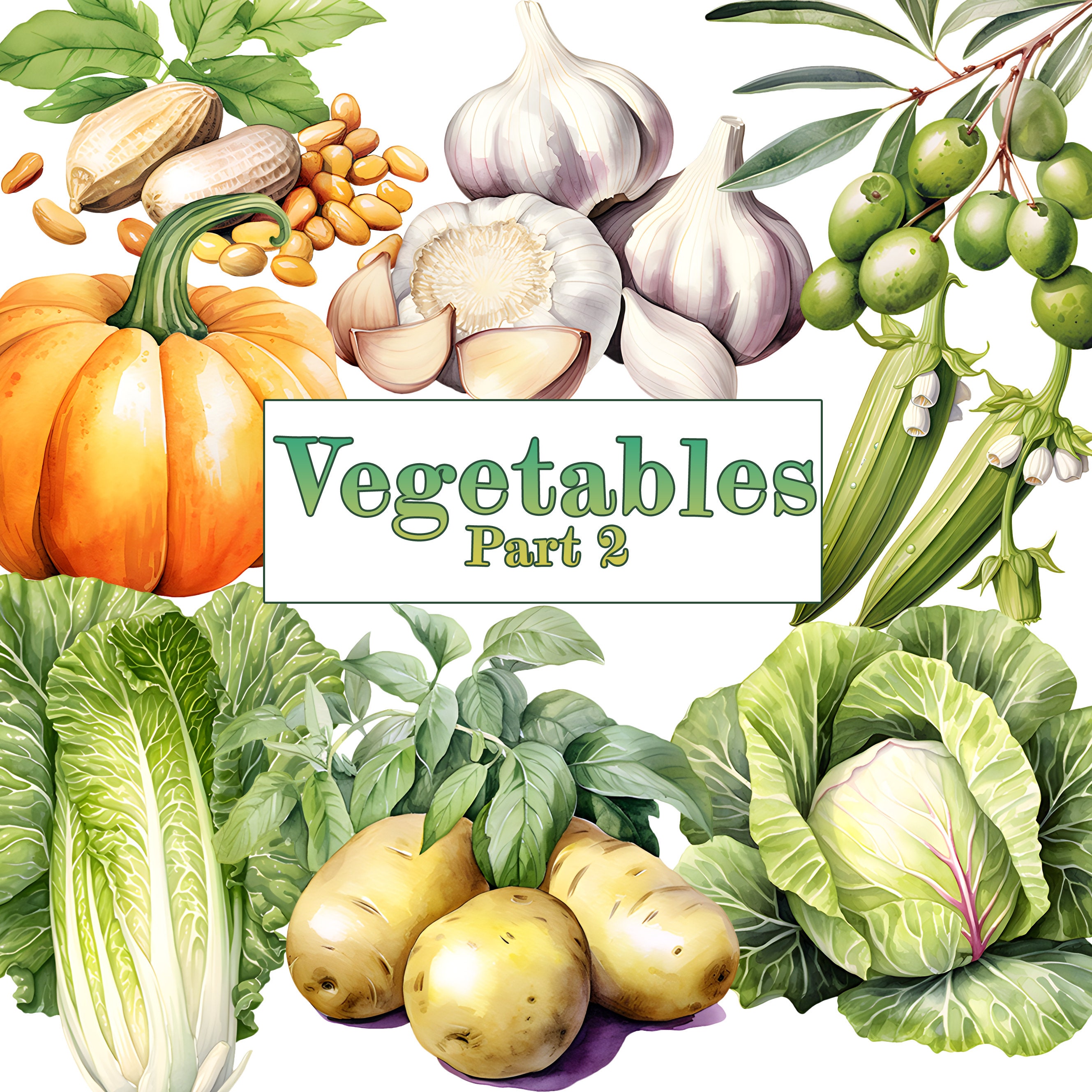 30 Vegetables Part 2 Clipart Watercolor Veggies Food Art - Etsy