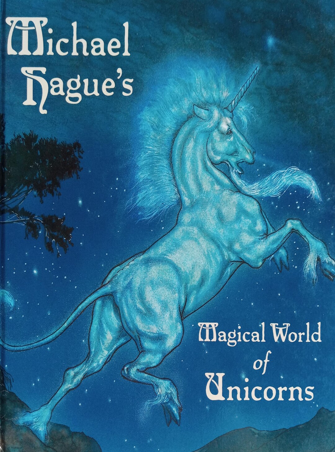 1999 Magical World of Unicorns - Etsy