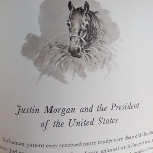 1947 Justin Morgan Had a Horse - Etsy