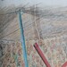 Encore for Eleanor RARE 1981 Bill Peet Classic - Etsy