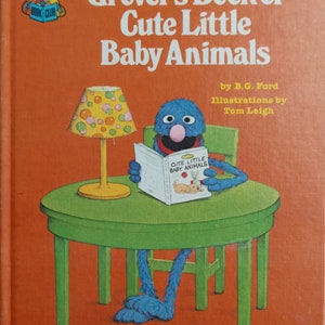 Vintage Sesame Street Set! 8 Book SET - Etsy