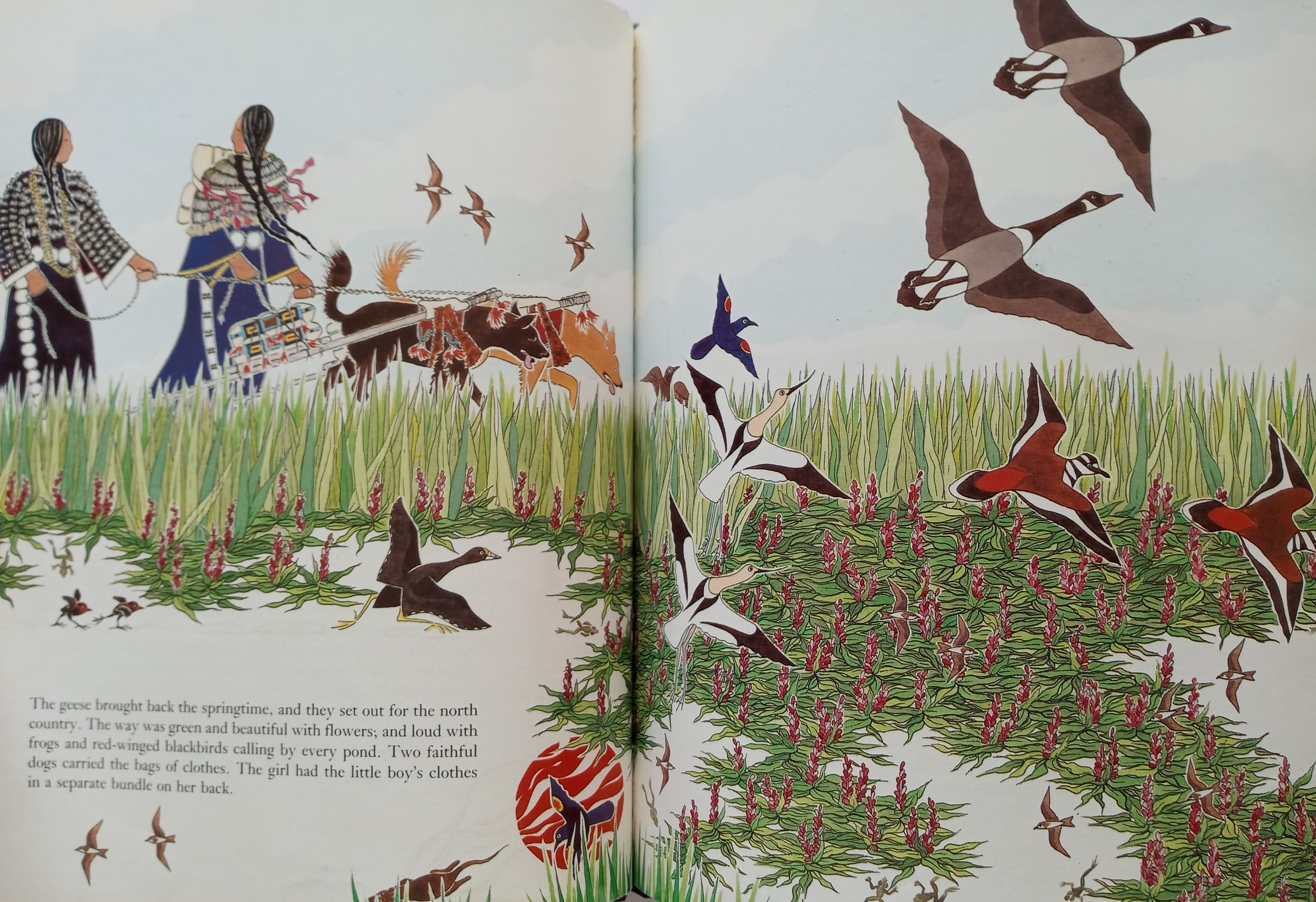 Paul Goble Native American Hardcover First Editions: Star Boy & Her ...
