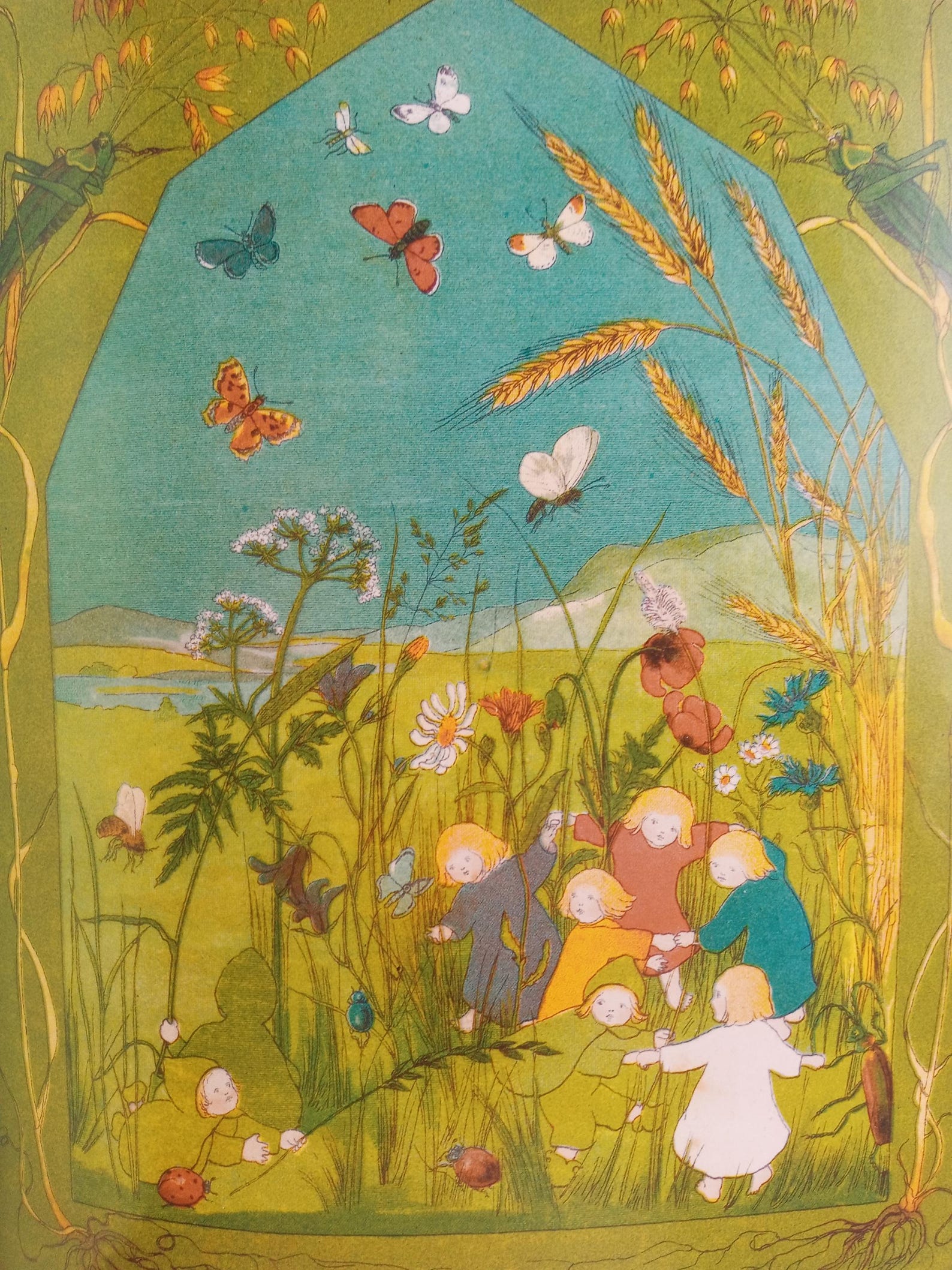 The Story of the Root Children Sibylle Von Olfers - Etsy