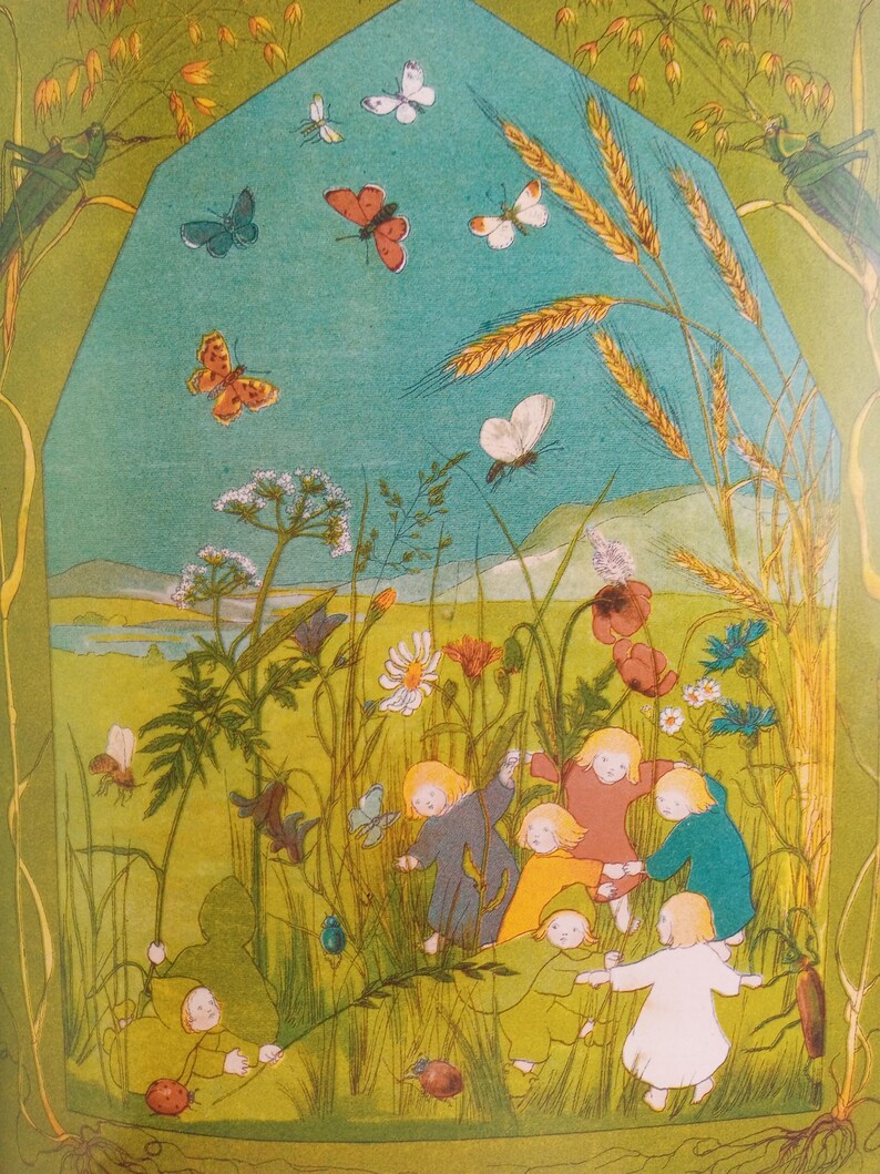 The Story of the Root Children Sibylle Von Olfers - Etsy