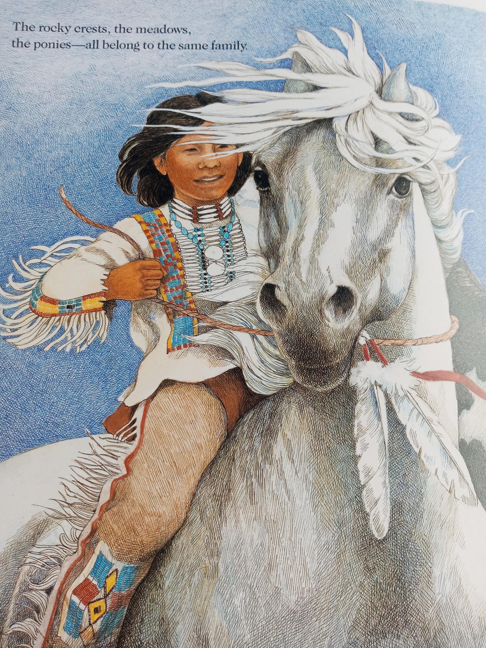 Brother Eagle, Sister Sky - Etsy