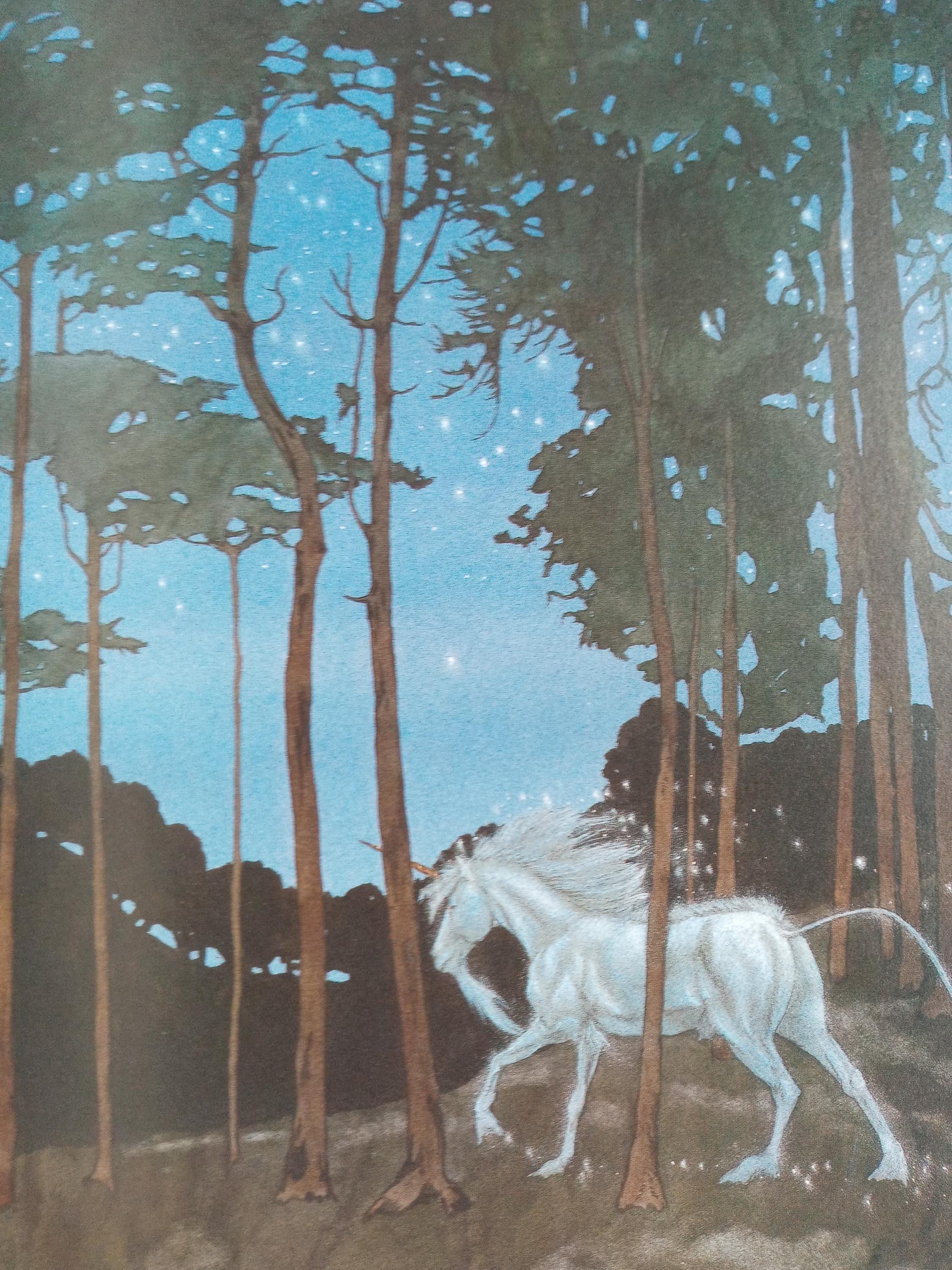 1999 Magical World of Unicorns - Etsy