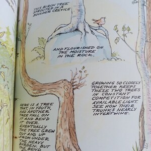 Crinkleroot's Guide to Knowing the Trees - Etsy