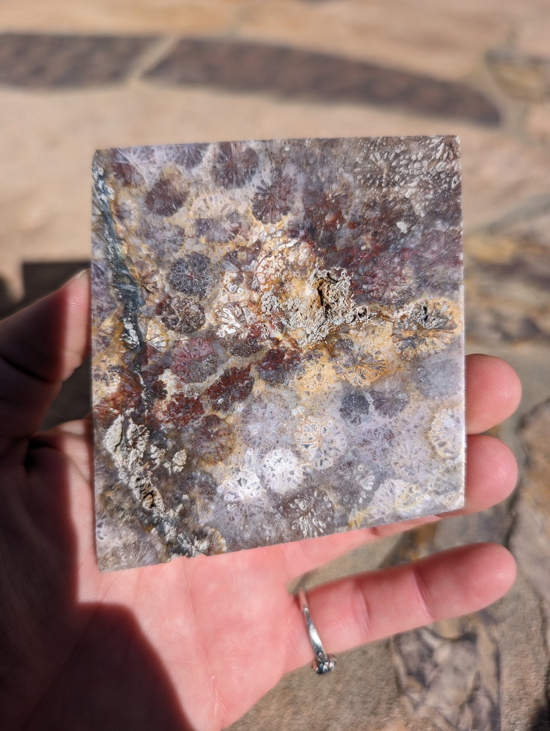 Fossil Coral Slab, From Indonesia. FC11 Thickness is 0.22-0.39" Multi ...