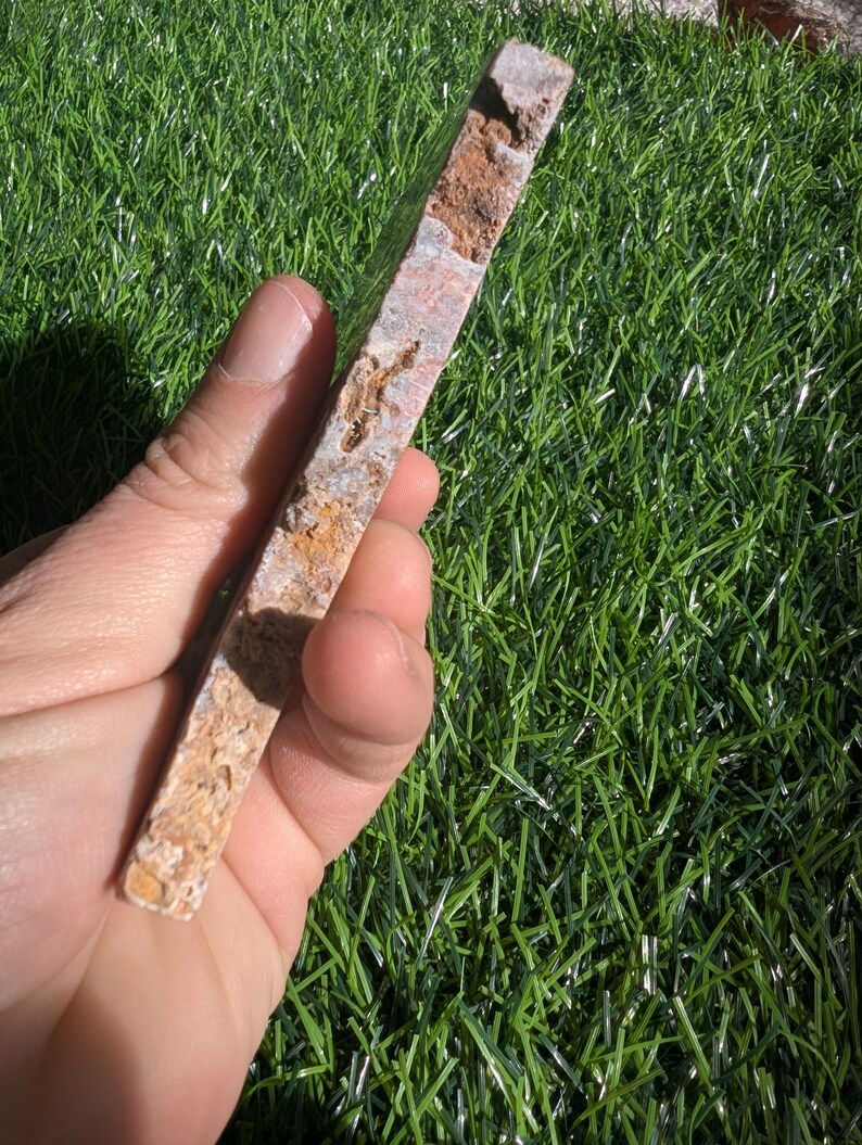 Fossil Coral Slab, From Indonesia. FC7 Multi Color, Purple, Red, Yellow ...
