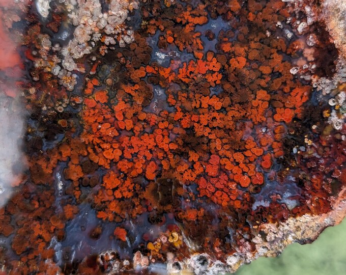 Red Moss Agate Slab. Rare Extremely Red Indonesian Red Moss Agate Slab ...