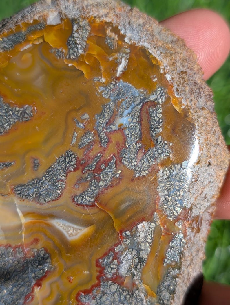 Orange and Red Marcasite With Agate Slab, Full Cross Section. All ...