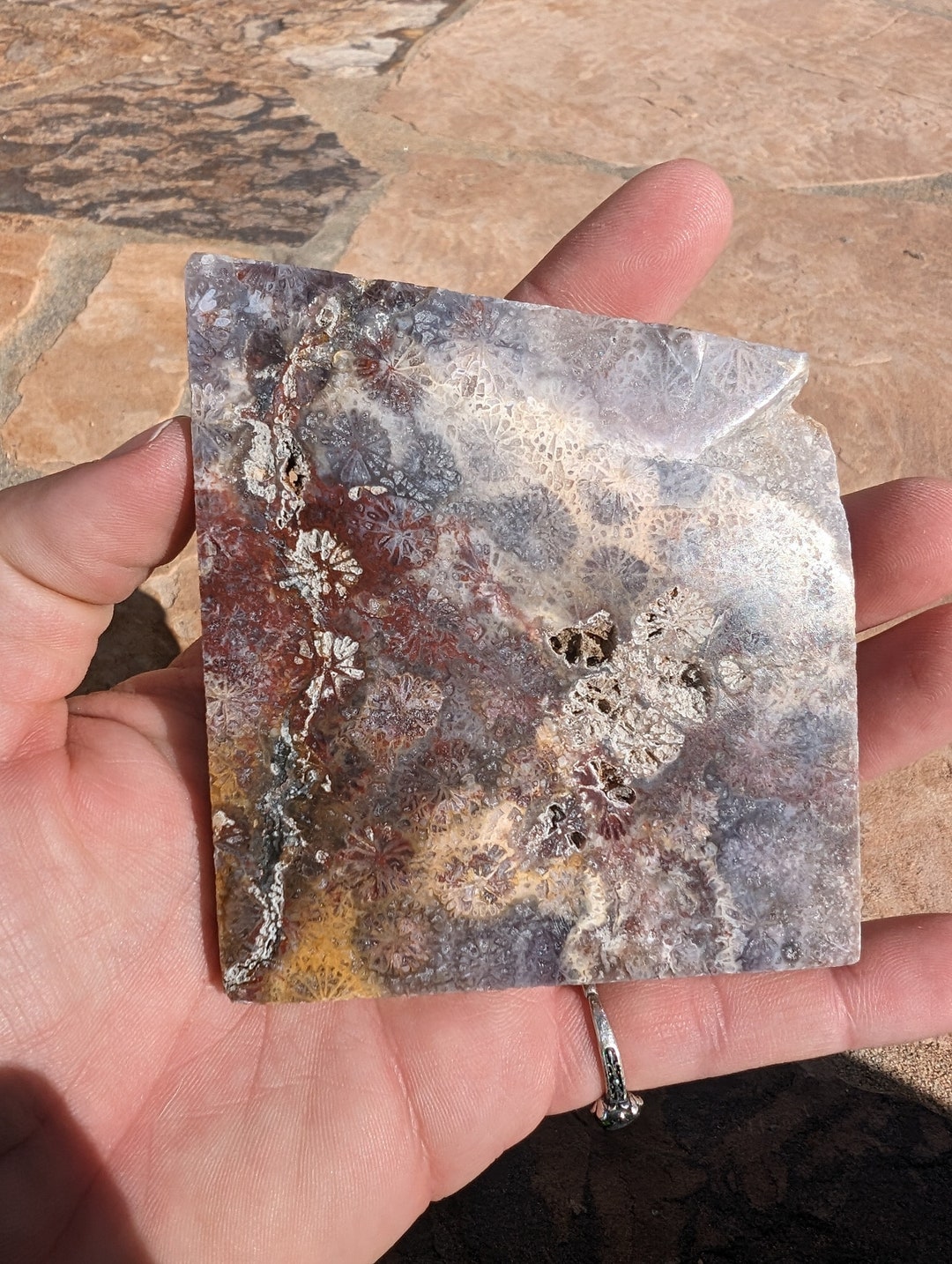 Fossil Coral Slab, From Indonesia. FC18 Thickness is 0.26 Multi Color ...