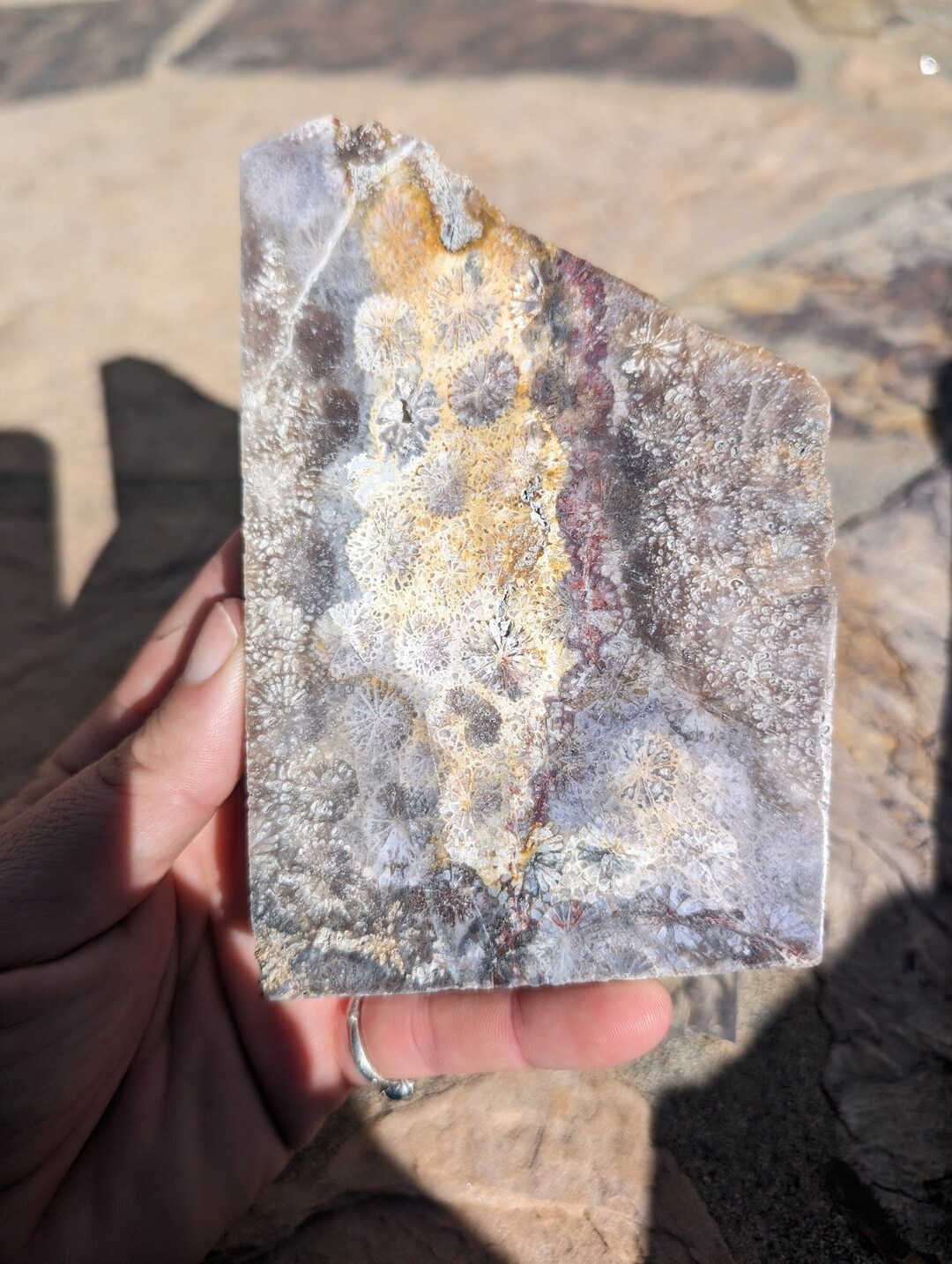 Fossil Coral Slab, From Indonesia. FC13 Thickness is 0.40-0.45 Multi ...