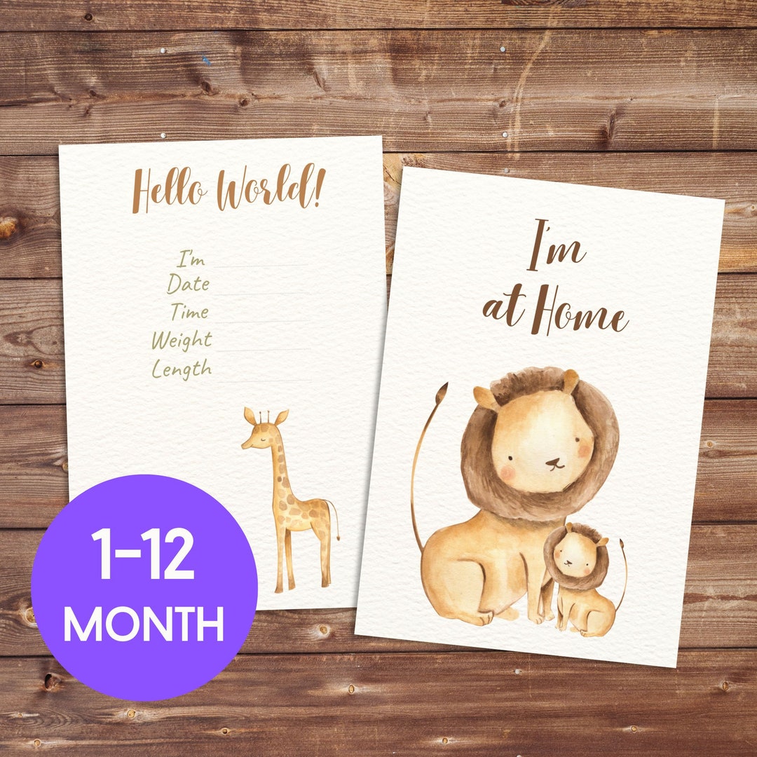14 Printable Baby Milestone Cards | Birth & Baby Name Signs | Monthly ...