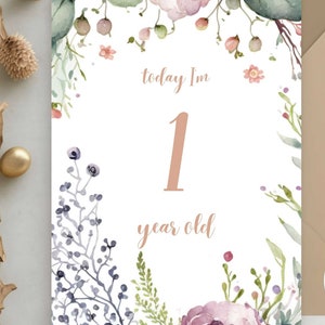 14 Baby Printable Milestone Month, First Year Cards, Wreath Style, Baby ...